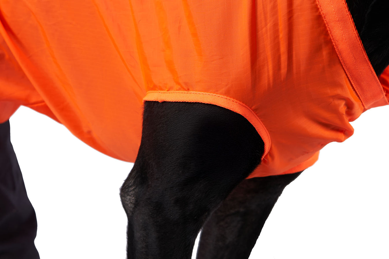 Dog rescue sling 犬を運ぶための携帯用スリング 登山災害時に【即日発送】 – イヌと何でも楽しむ委員会 | カニクロス用品専門店